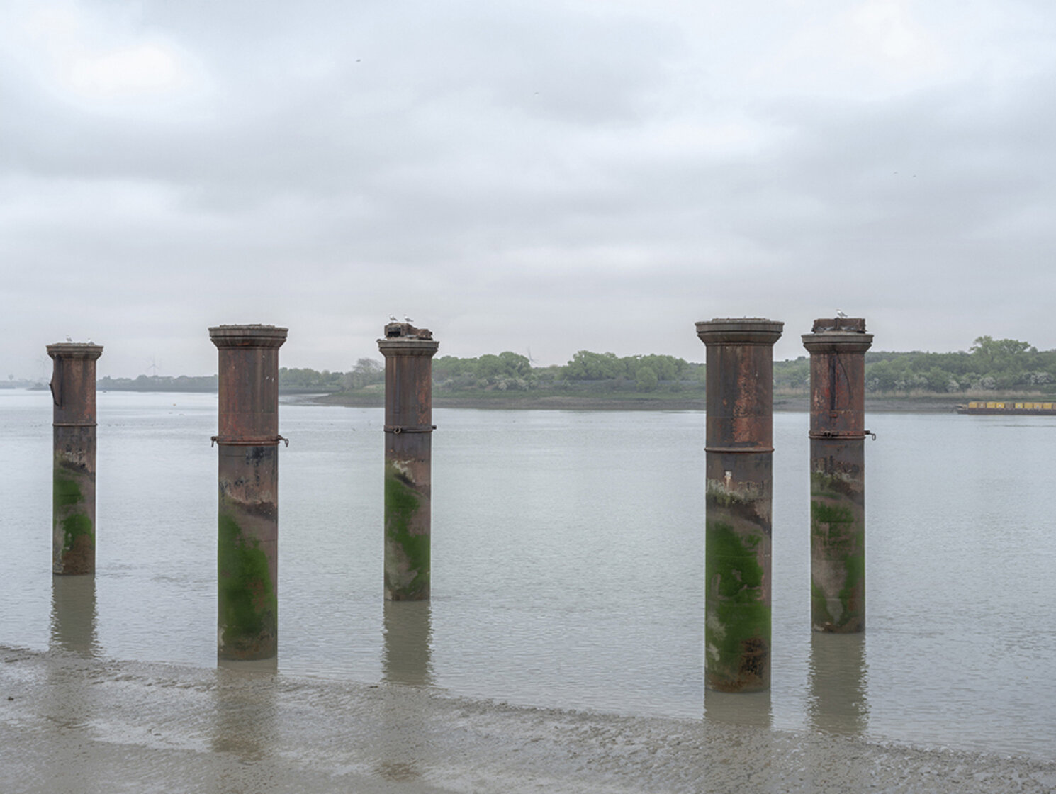 Michael Collins: Pillars in the River - What's on - Trinity Buoy Wharf